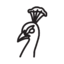 peacock Icons